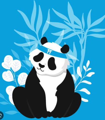 Learning Regular Expressions In R: A Practical Guide To Pattern ...